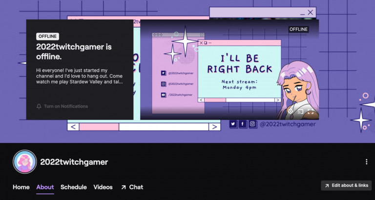 How To Customize Your Twitch Channel For Better Visibility